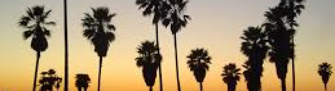 County of Los Angeles – PCIS | P&C Insurance Systems, Inc.